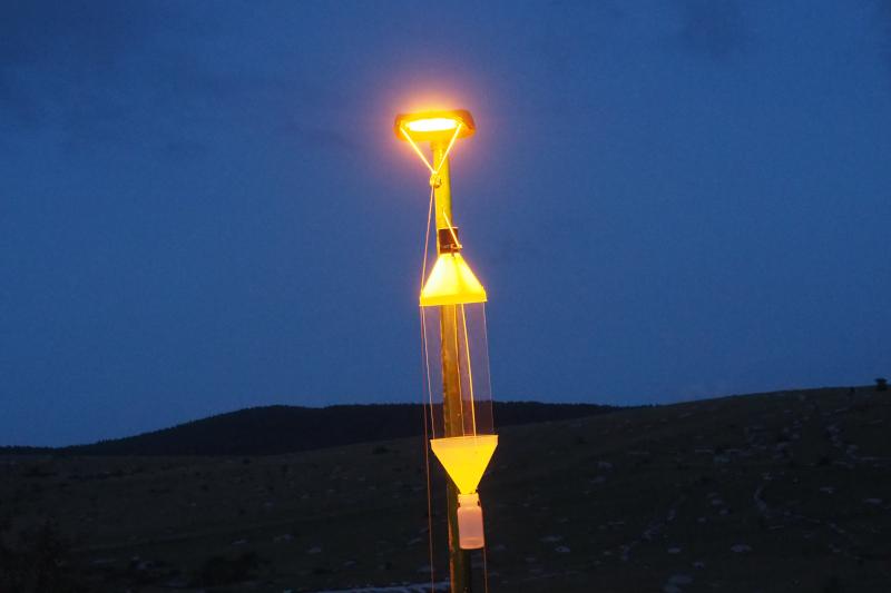 pollum.JPG | Parc national des Cévennes